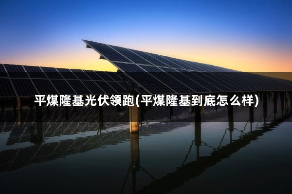 平煤隆基光伏领跑(平煤隆基到底怎么样) - 太阳能光伏板