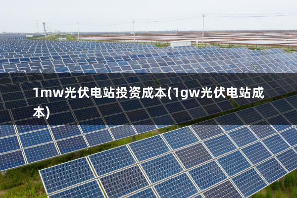 1mw光伏电站投资成本(1gw光伏电站成本) - 太阳能光伏板
