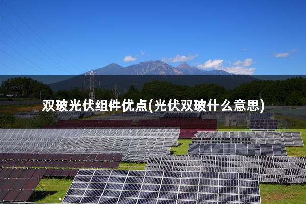 双玻光伏组件优点(光伏双玻什么意思) - 太阳能光伏板